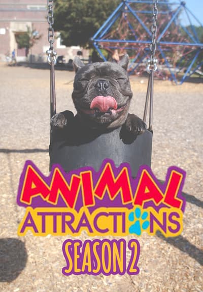 Watch Animal Attractions - Free TV Series Full Seasons Online | Tubi