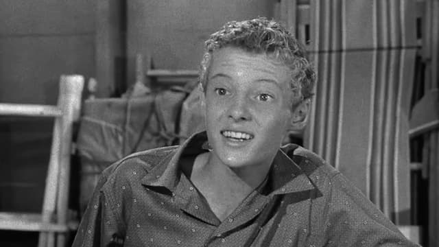 Watch Leave It to Beaver S02:E19 - Wally's Pug Nose Free TV | Tubi