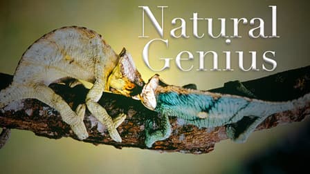 Watch Natural Genius - Free TV Shows | Tubi