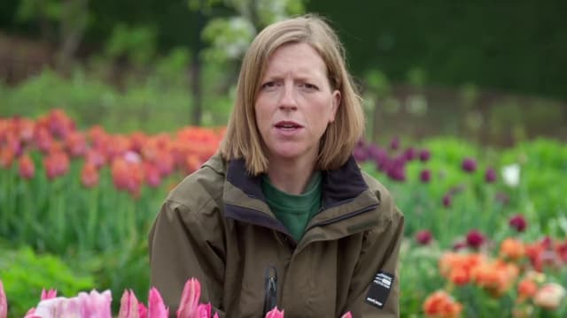 Watch Gardeners' World S09:E06 - Episode 6 - Free TV Shows | Tubi