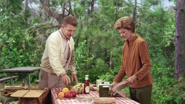 Watch The Adventures of Ozzie and Harriet S14:E22 - Waiting for Joe ...