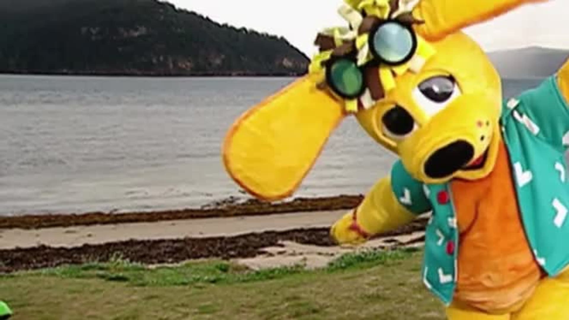 Watch Raggs S01:E01 - Colour - Free TV Shows | Tubi