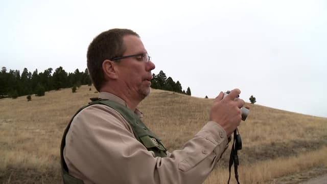 Watch Wardens S07:E03 - Chasing the Big One - Free TV Shows | Tubi