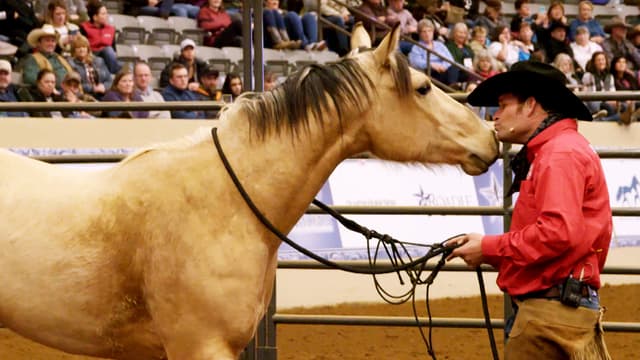 Watch The Cowboy Way Season 6 - Free TV Shows | Tubi