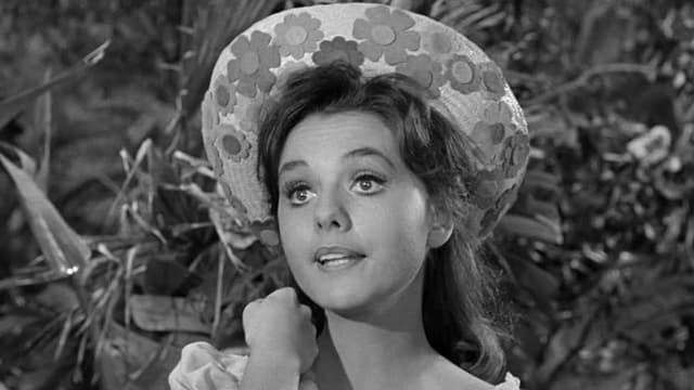 Watch Gilligans Island S01 E28 Theyre Off And Running Free Tv
