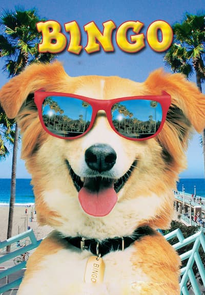 Watch Bingo (1991) - Free Movies | Tubi