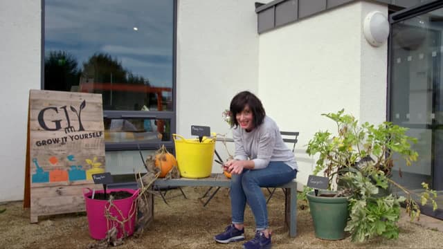 Watch Grow Cook Eat S02:E02 - Pumpkins - Free TV Shows | Tubi