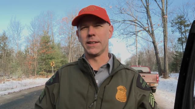Watch Wardens S09:E10 - Michigan Elk - Free TV Shows | Tubi