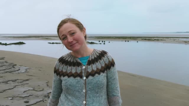 Watch Shoreline Detectives S03:E02 - Inner Forth Free TV | Tubi