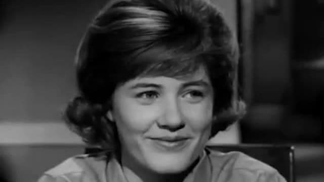 Watch The Patty Duke Show S02:E12 - This Little Patty Went t Free TV | Tubi