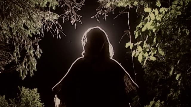 Watch Paranormal Portals S02:E04 - The Manipogo Lake Monster Free TV | Tubi