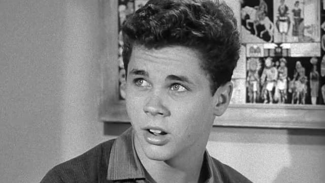 Watch Leave It to Beaver S02:E32 - Friendship Free TV | Tubi