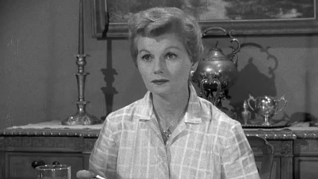 Watch Leave It to Beaver S01:E36 - Beaver and Henry Free TV | Tubi