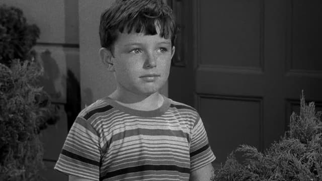 Watch Leave It to Beaver - Free TV Series | Tubi