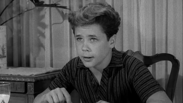 Watch Leave It to Beaver - Free TV Series | Tubi