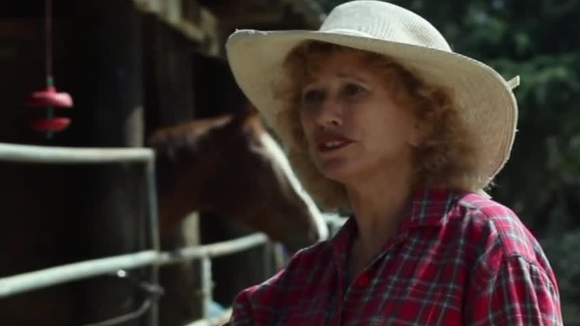 Watch Love Carries (2011) - Free Movies | Tubi