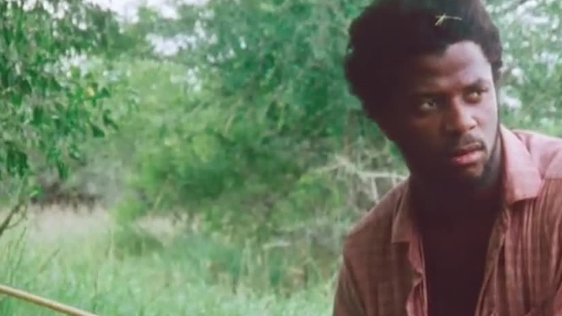 Watch Treasure Hunter (1989) - Free Movies | Tubi