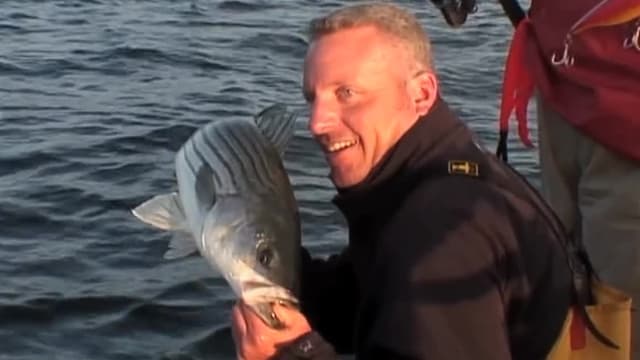 Watch Inside Sportfishing S03:E08 - Calico Craze at - Free TV Shows | Tubi