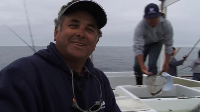 Watch Inside Sportfishing S03:E08 - Calico Craze at - Free TV Shows | Tubi