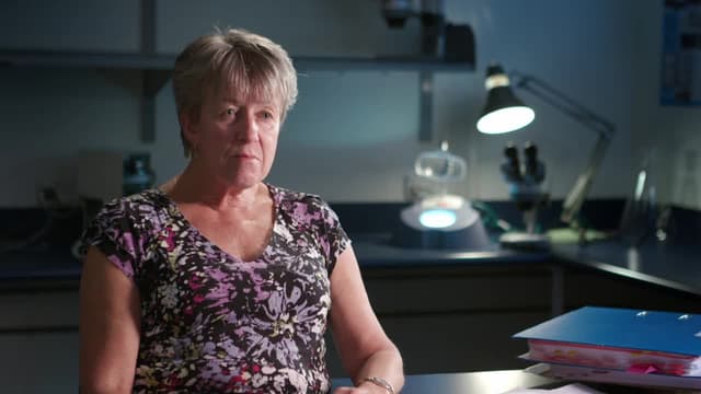 Watch Forensics S02:E02 - Operation Red Rocks - Free TV Shows | Tubi