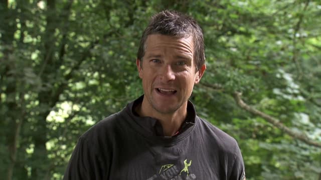 Watch Bear Grylls: Survival School S02:E03 - Episode 3 Free TV | Tubi