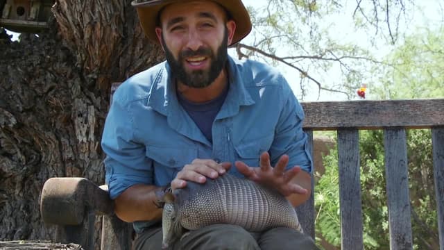 Watch Brave Wilderness S02:E09 - Giant Water Bug Bit - Free TV Shows | Tubi