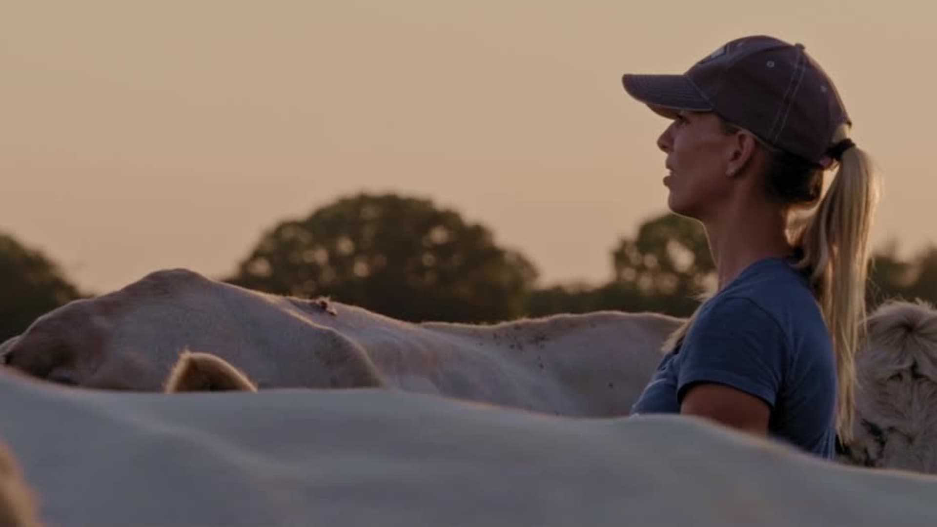 Watch Good Ol Girl (2023) - Free Movies | Tubi