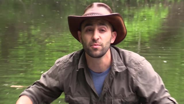 Watch Brave Wilderness S04:E08 - Stabbed and Stung Free TV | Tubi