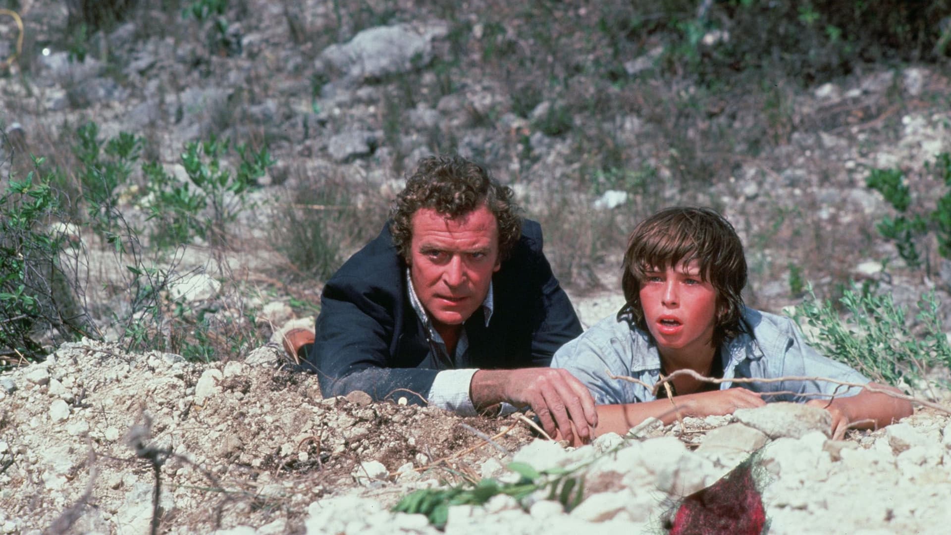 Watch The Island (1980) - Free Movies | Tubi