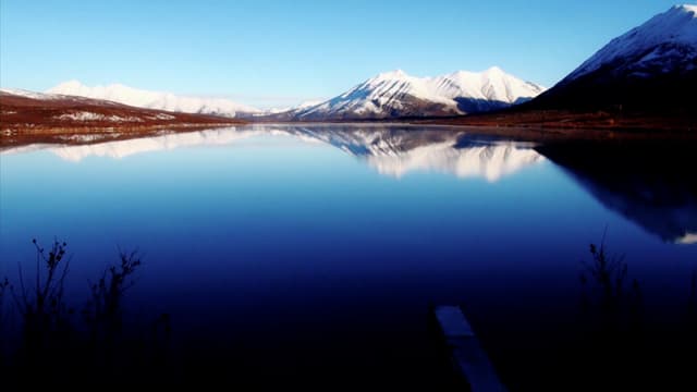 Watch Jim Shockey's Hunting Adventures S11:E16 - Exp - Free TV Shows | Tubi