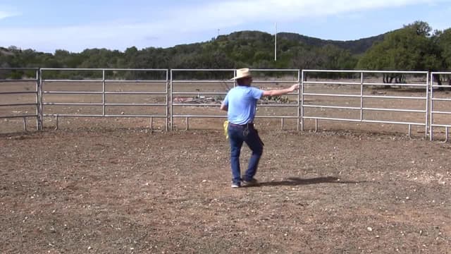 Watch Round Penning: First Steps to Starting a Horse - Free TV Shows | Tubi