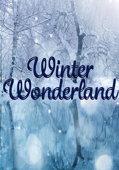 Watch Winter Wonderland 2017 Free Movies Tubi