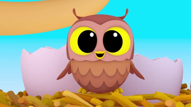 Watch Hoot, Scoot & What - Free TV Shows | Tubi