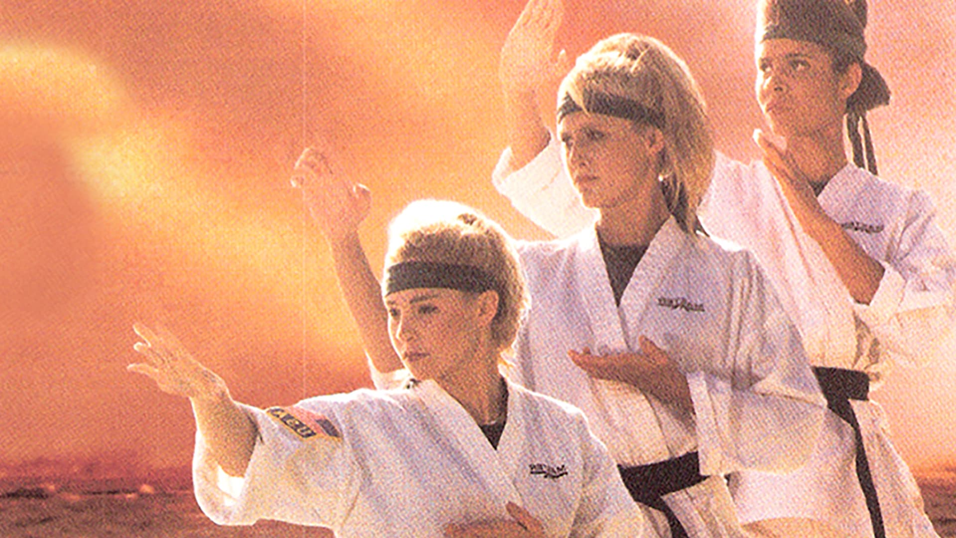 Watch Black Belt Angels (1994) - Free Movies | Tubi