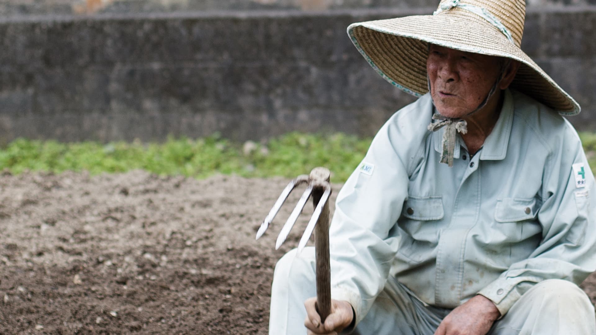 Watch The Longevity Film (2020) - Free Movies | Tubi