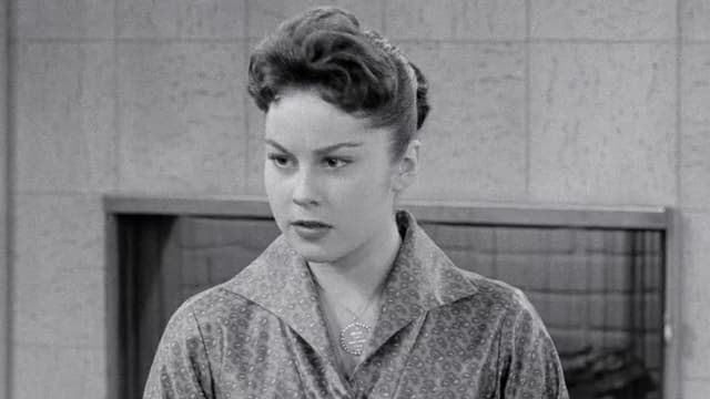 Watch The Danny Thomas Show S05:E18 - Rusty, the Bul - Free TV Shows | Tubi