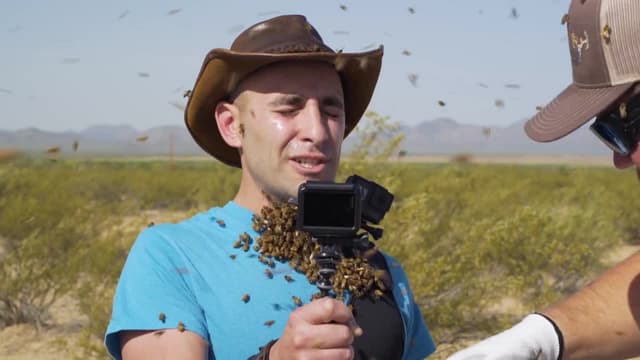 Watch Brave Wilderness S03:E02 - Stung by a Bullet A - Free TV Shows | Tubi