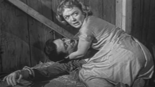 Watch United States Marshal S02:E31 - Kill or Be Killed - Free TV Shows ...