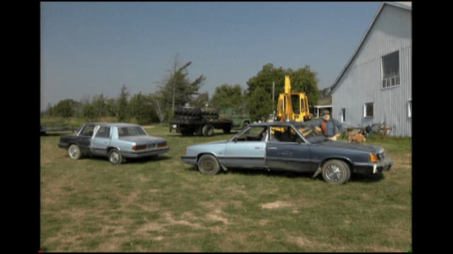 Watch The Red Green Show S13:E10 - Possum Day - Free TV Shows | Tubi